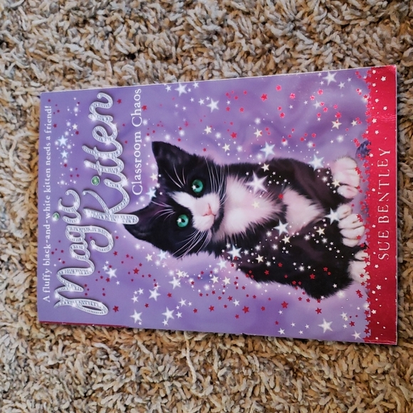 Toys | Magic Kitten Chapter Book | Poshmark